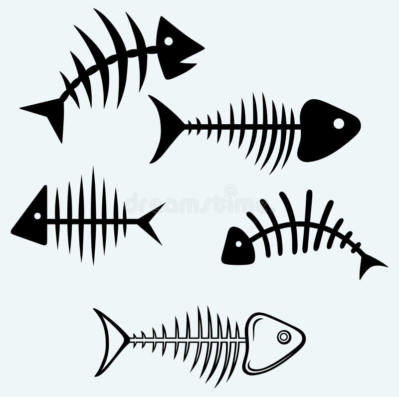 Fish Skeleton Stock Illustrations – 8,171 Fish Skeleton Stock ...