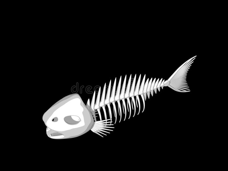 Fish Skeleton Stock Illustrations – 2,780 Fish Skeleton Stock ...