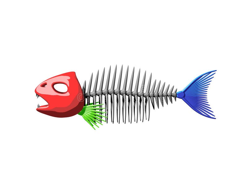 Fish Skeleton. Isolated on White Background. 3D Rendering Illustration ...