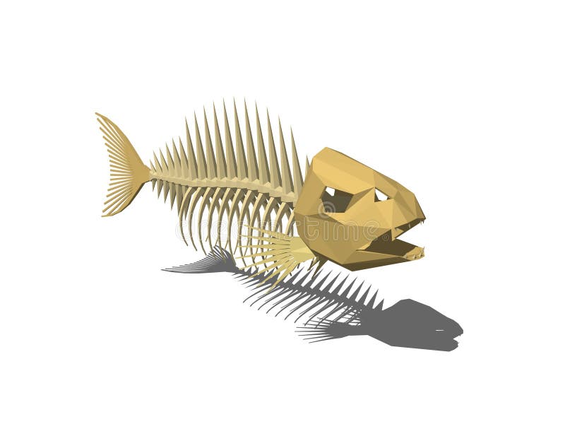 Fish Skeleton. Isolated on Black Background. 3D Rendering Illustration ...