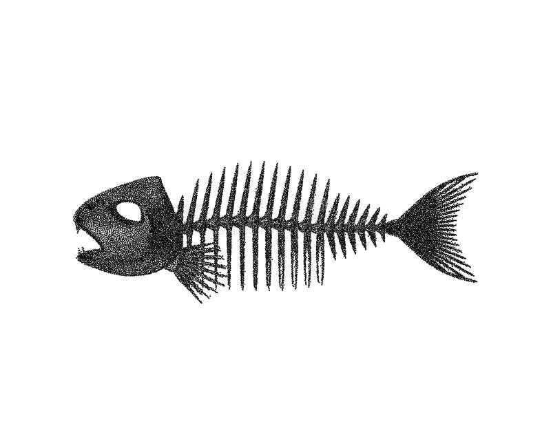 Fish Skeleton Stock Illustrations – 2,780 Fish Skeleton Stock ...