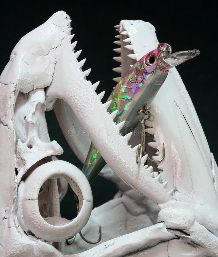 Fish Skull and Lure stock photo. Image of fish, fishing - 3438286