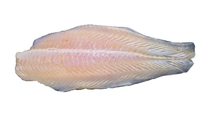 Fish Slide on the White Background. Stock Photo - Image of closeup ...