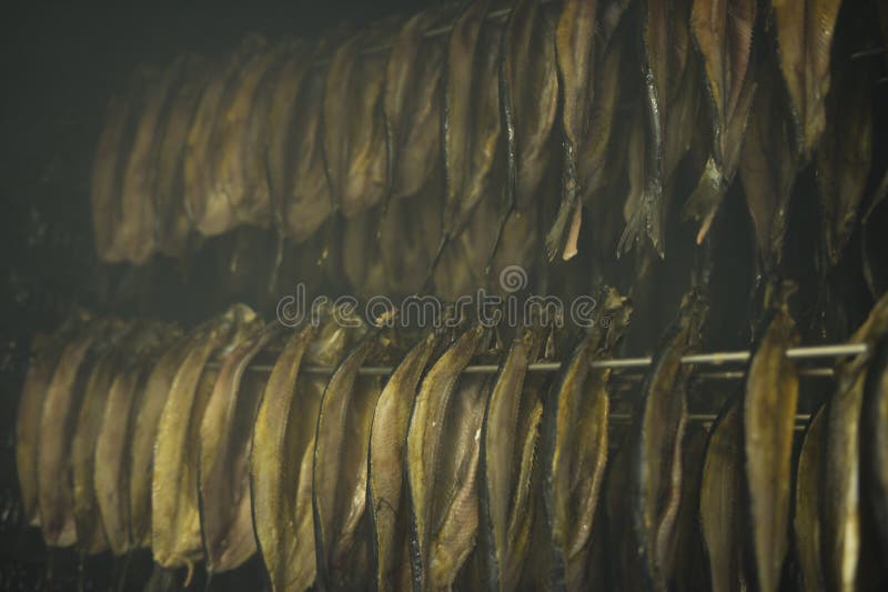 Fish in the smoke house stock photo. Image of horizontal - 9745358