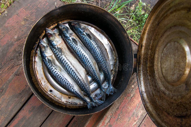 Process Cooking Smoked Fish Stock Image - Image of natural, heat: 118885217