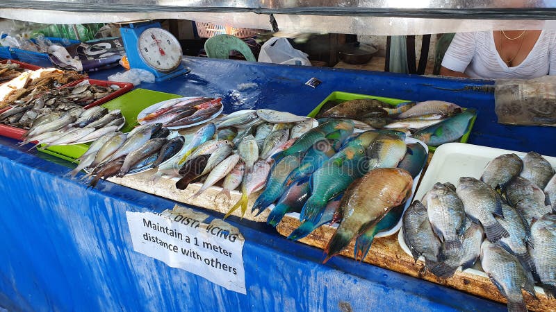 Fish Sold Along Roadside in Bohol, Philippines Stock Photo - Image of ...