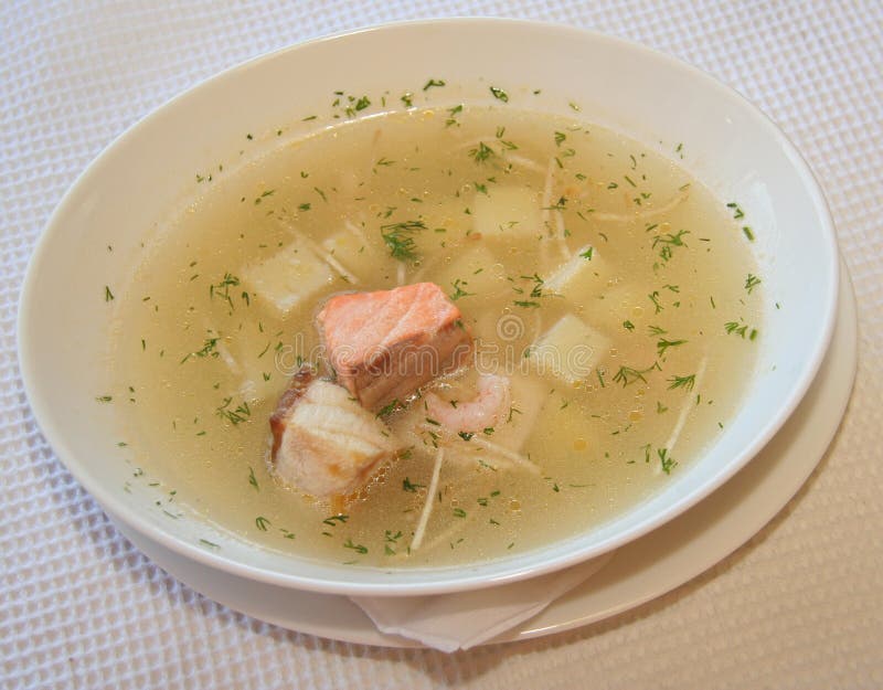 Fish soup stock image. Image of onions, liquid, noodles - 7621781