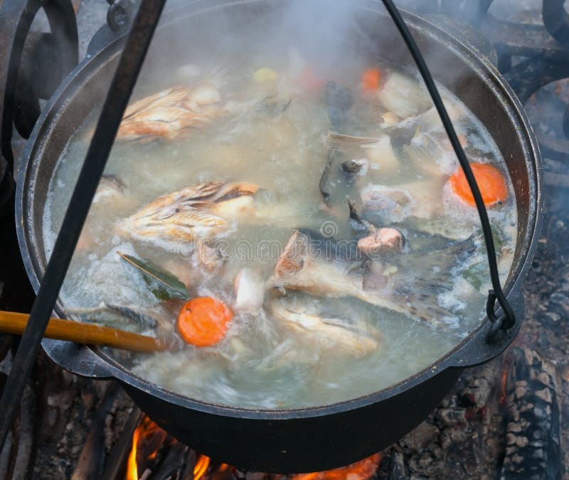 Fish soup stock image. Image of vegetable, fish, meal - 40347511