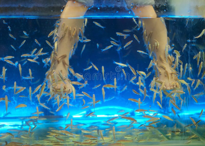 Fish spa stock photo. Image of swimming, animal, thailand - 18855714