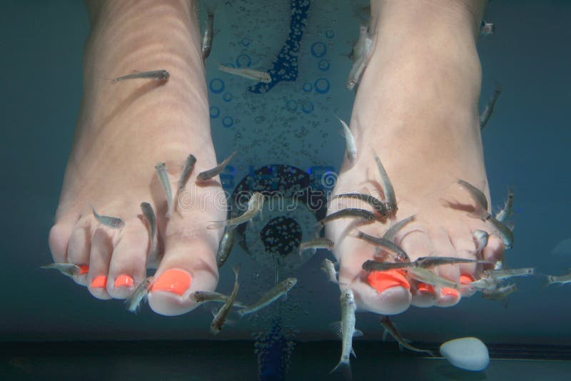 Fish Spa Feet Pedicure Skin Care Treatment Stock Image - Image of foot ...