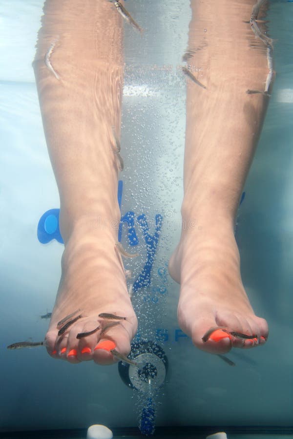 Fish spa pedicure stock image. Image of beauty, girls - 23700137