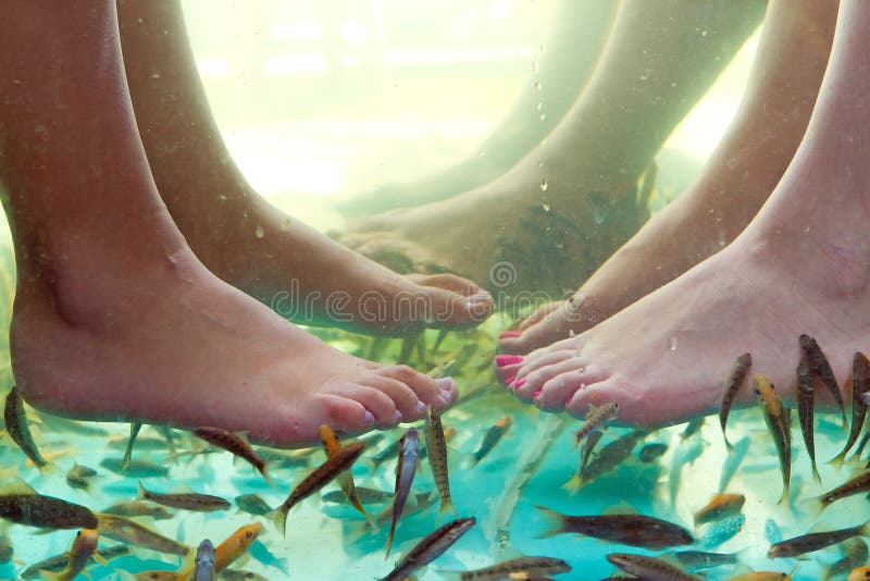 Fish spa pedicure stock image. Image of beauty, girls - 23700137