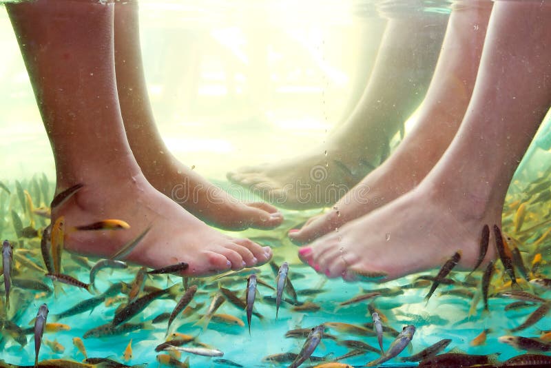 Spa Relaxation stock photo. Image of holistic, stones - 19124490