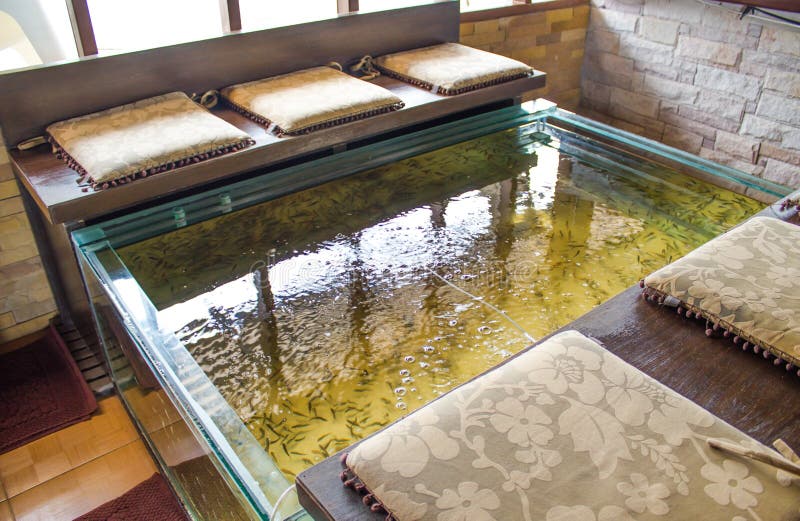Fish spa stock image. Image of skincare, relax, hygiene - 36651363