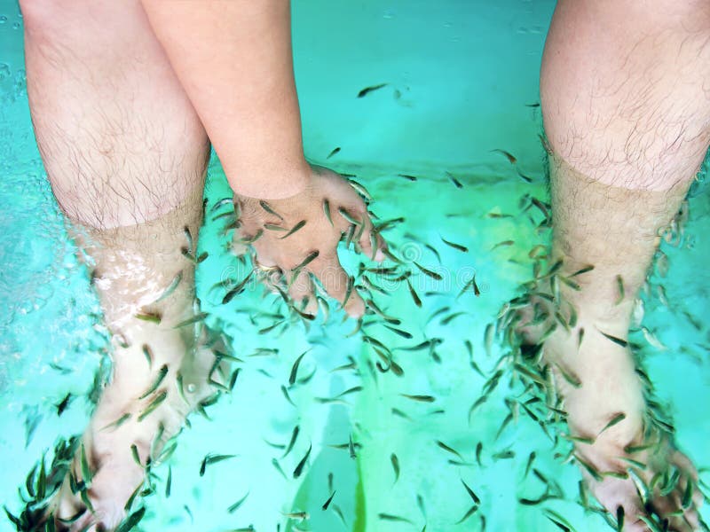 Fish Spa Skin Therapy stock photo. Image of motion, therapy - 23558744