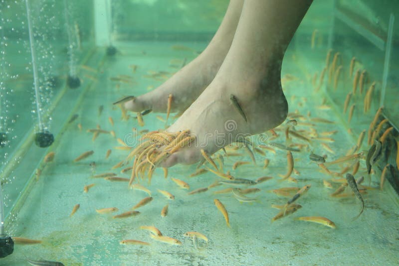 Fish Spa Skin Therapy stock image. Image of medicine - 44084085
