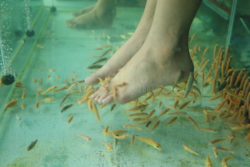 Fish Spa Skin Therapy stock image. Image of pedicure - 44290175