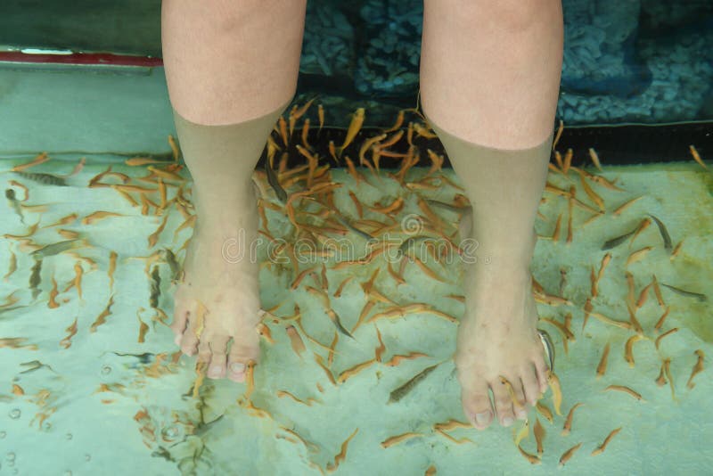 Fish Spa Skin Therapy stock photo. Image of care, beauty - 44083782