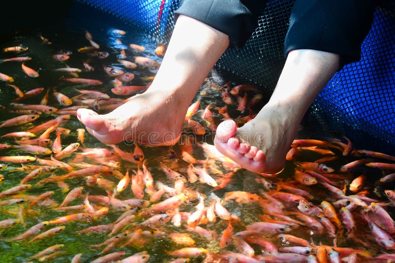 Fish Therapy stock photo. Image of skincare, human, photograph - 14405636