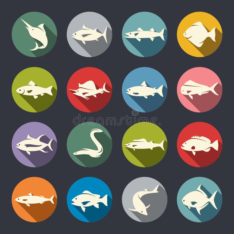 Fish Sketch Species with Names Vector Isolated Fishing Icons Set Stock ...