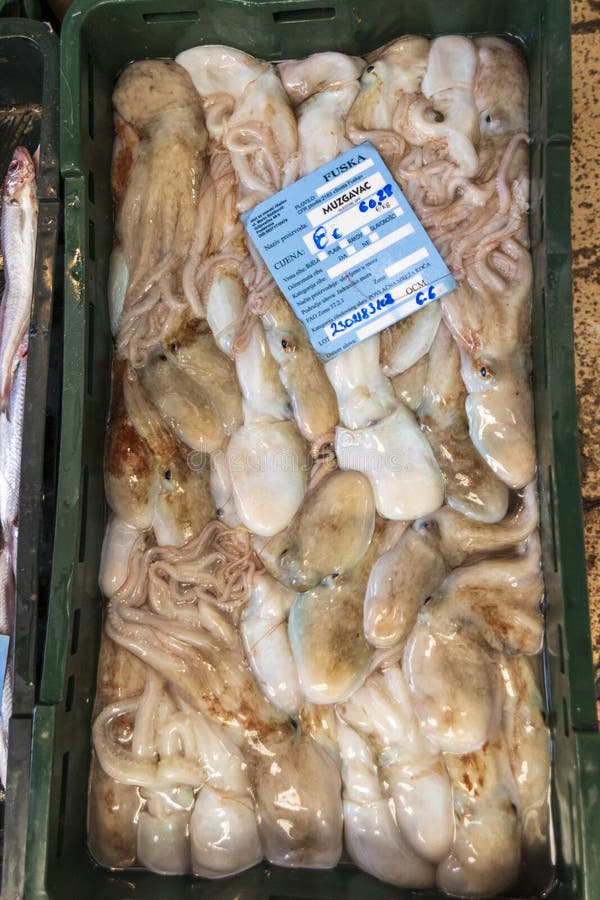 Fish at the Split Fish Market in Croatia. Editorial Stock Photo - Image ...