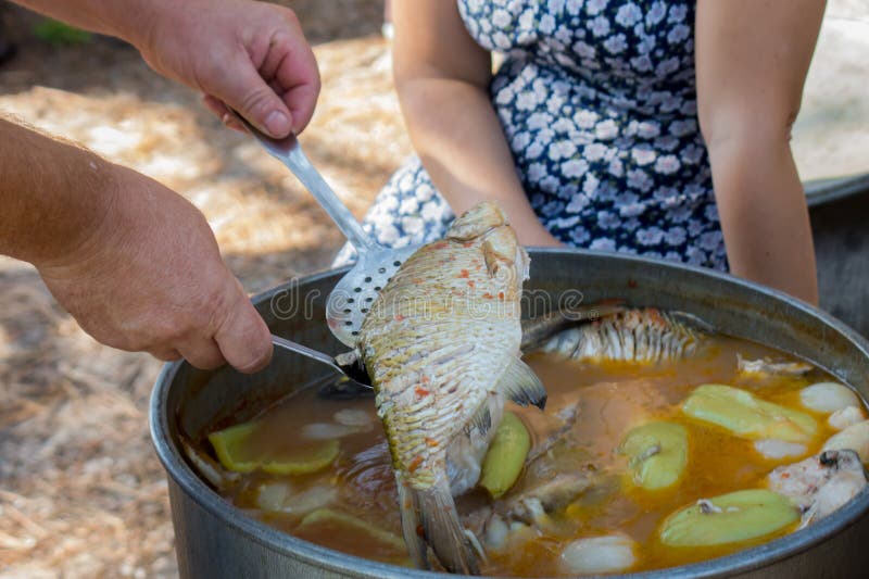 Ingredients for Cooking Fish Soup while Camping. the Process of Cutting ...