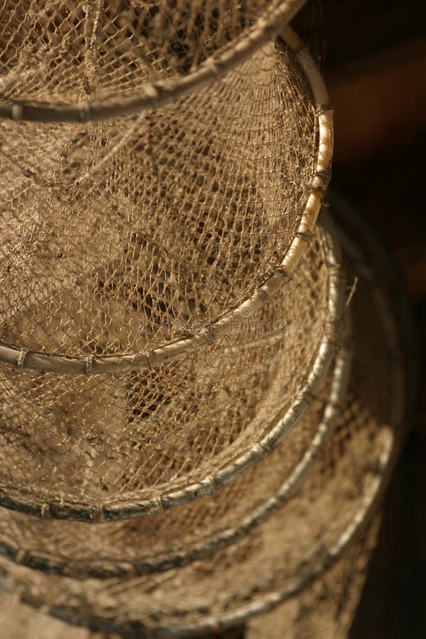 Fish staggered array stock photo. Image of fisher, array - 343506