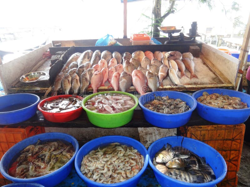 A Fish Stall in the Beaches of Fort Kochi Stock Photo - Image of ...