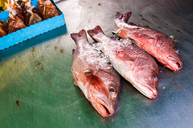 Fish stall display stock image. Image of protein, cuisine - 38630565