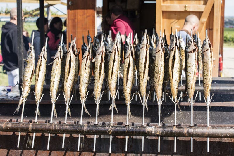 29 Showcooking Photos - Free & Royalty-Free Stock Photos from Dreamstime