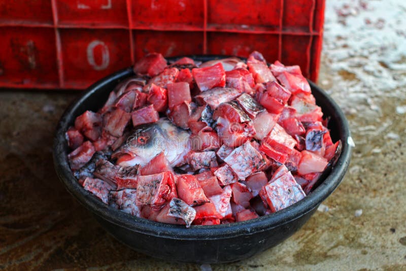 Fish Steak Cut Pieces in a Container Ready for Cooking Stock Image ...