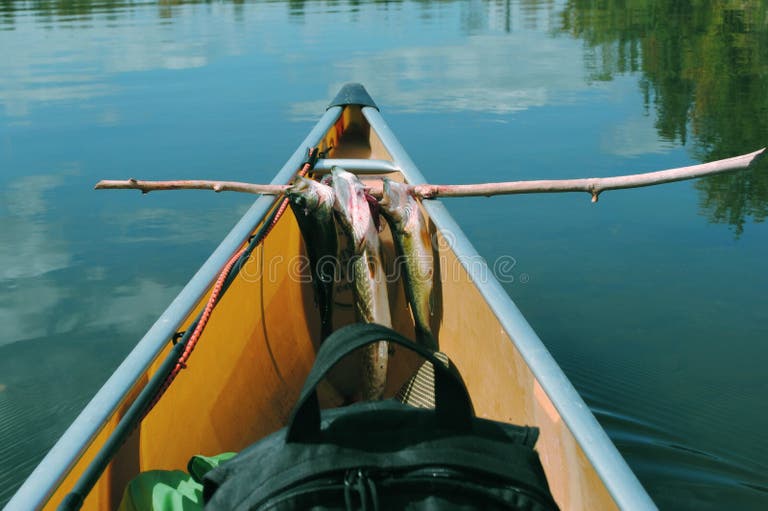 162 Canoe Stick Stock Photos - Free & Royalty-Free Stock Photos from ...