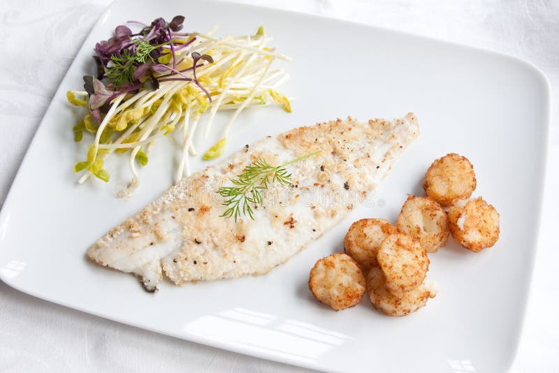 Gourmet Fish Dish stock photo. Image of greens, seafood - 22247494