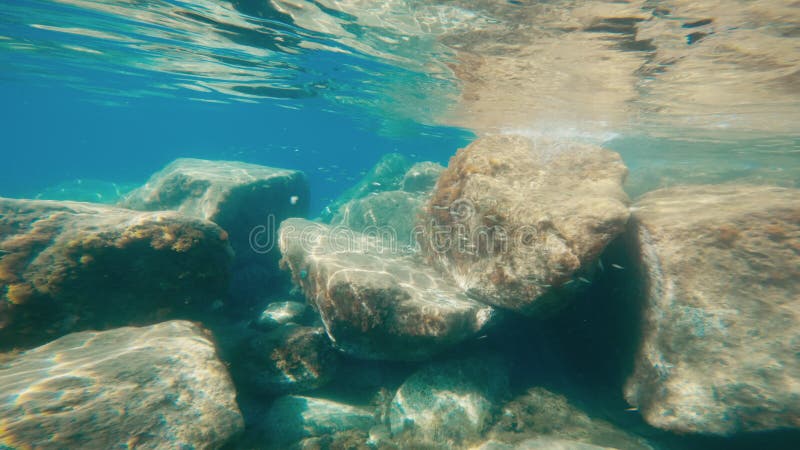 Fish Swim among the Rocks Under the Ocean Stock Footage - Video of fish ...
