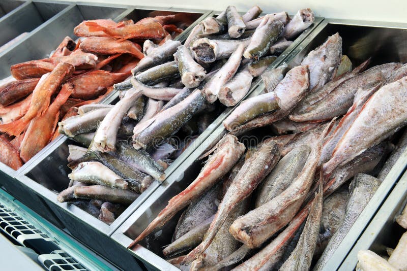 Fish from a Table with Containers with Various Sort of Fish Pict Stock ...