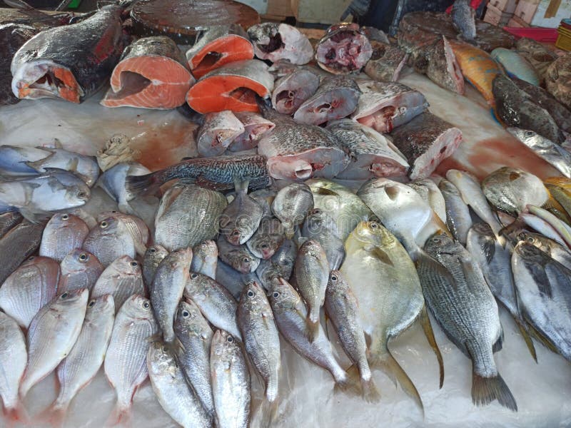 Fish on the Table of a Fish Market Vendor Stock Image - Image of ...