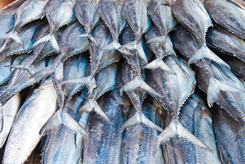 Fish Tail stock image. Image of market, meat, diet, delicious - 21213483