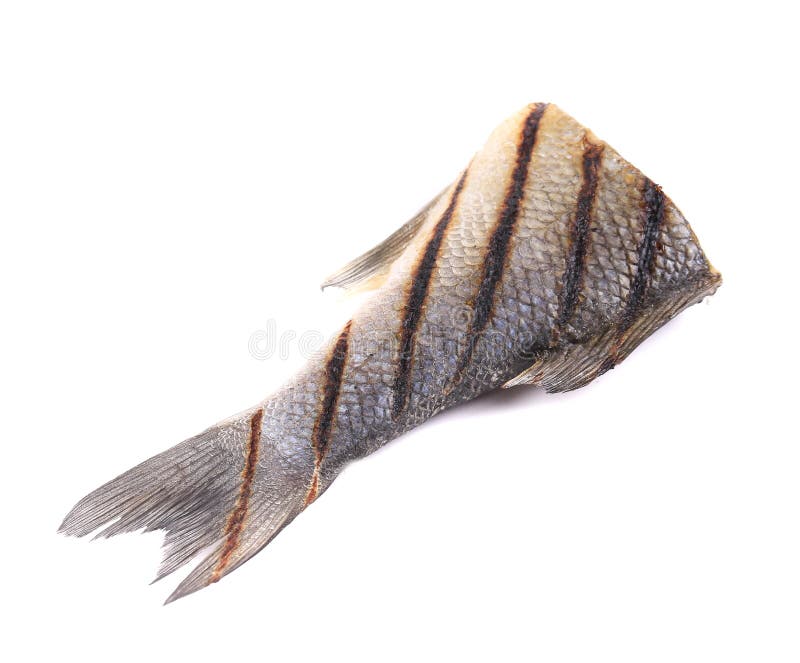 Fish tail. stock photo. Image of gourmet, grilled, length - 40504140