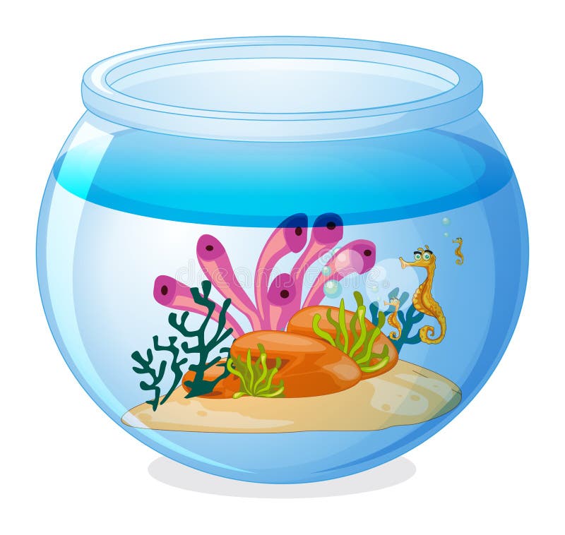 Fish tank illustration stock vector. Illustration of cartoon - 21374285