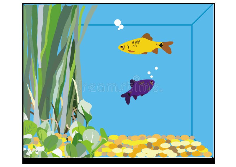Square Fish Tank Cartoon