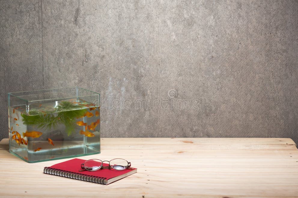 Fish Tank Notebook and Glasses on Table Wooden Stock Photo - Image of ...
