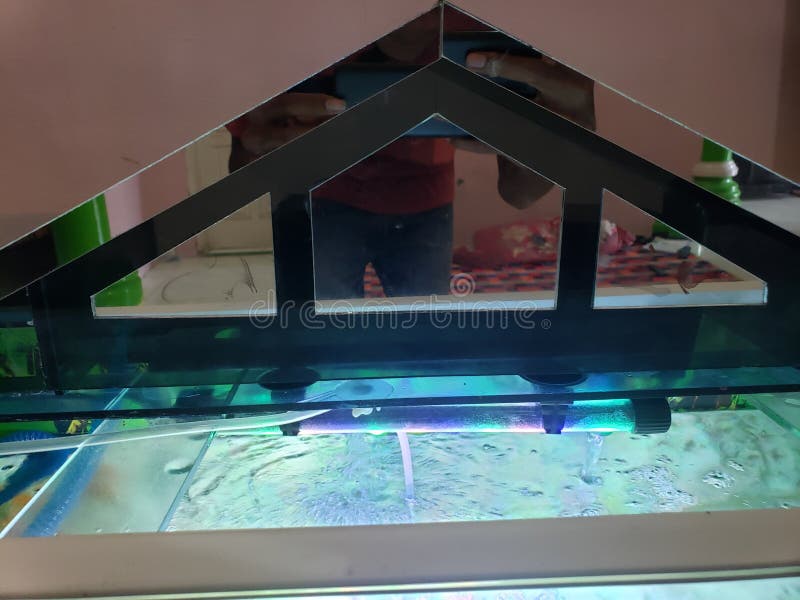 Fish Tank with Triangular Mirror Top and Reflection of Person Stock ...