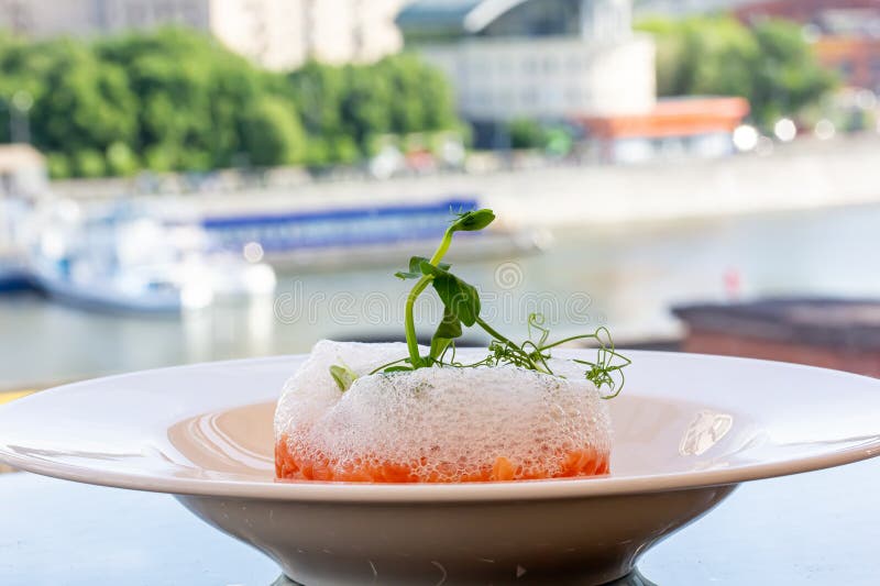 Fish Tartare with Parmesan Foam Stock Photo - Image of cooked, dinner ...