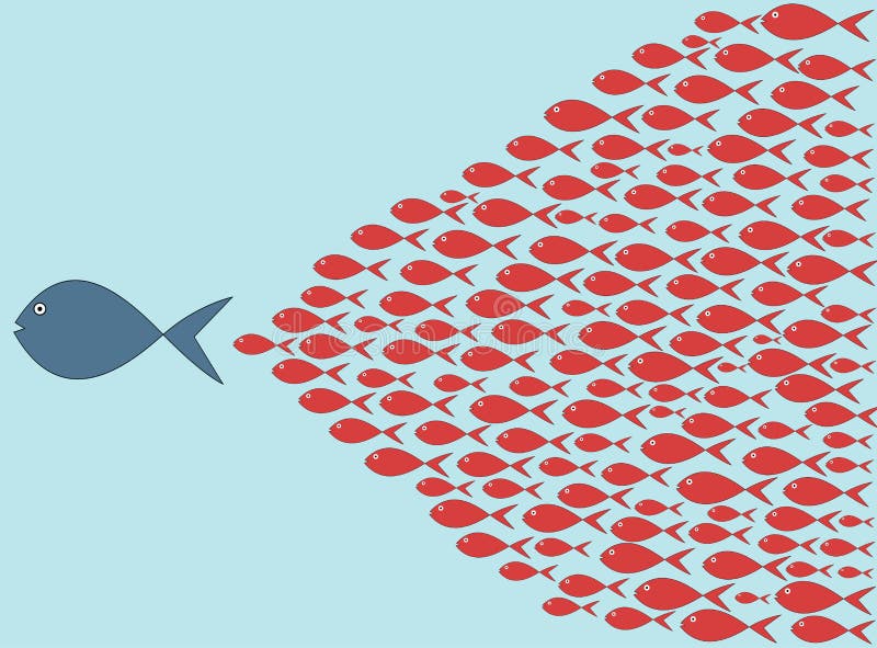 Fish in team concept stock illustration. Illustration of metaphor ...