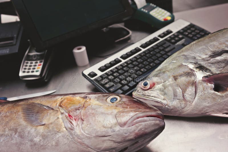Fish and technology stock image. Image of technology - 30543857