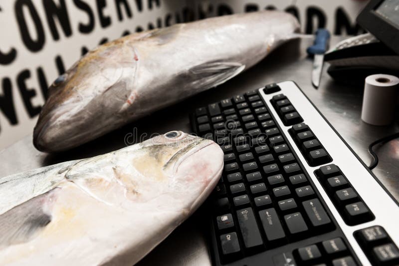 Fish and technology stock photo. Image of keyboard, screen - 30543862
