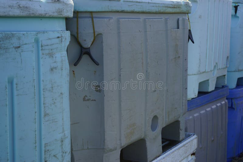 Fish Totes Stock Photos - Free & Royalty-Free Stock Photos from Dreamstime