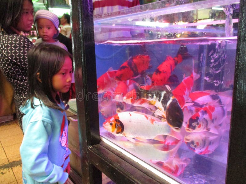 Fish editorial photo. Image of central, recreation, java - 70252836