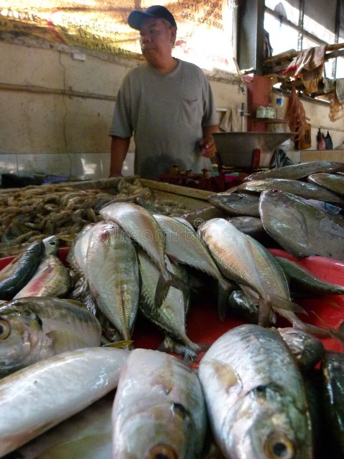 Fish editorial image. Image of central, traders, selling - 66351310