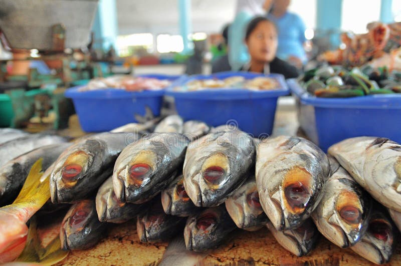 Fish in Traditional Fish Market Stock Photo - Image of bussiness, local ...